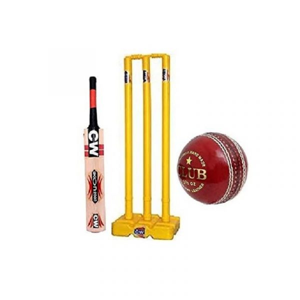CW Windy Cricket Practice Kit Yellow Wicket Stand Plastic Cricket ...